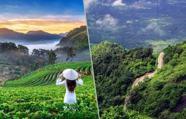 Exploring Enchanting Hill Stations: Munnar, Wayanad, Thekkady
