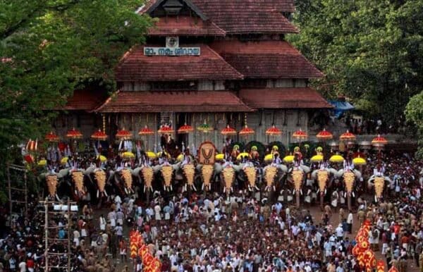 Thrissur Pooram Festival Kerala Grand Elephant Celebration