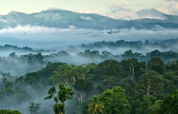 Kerala Travel and Tour Packages | Since 1999