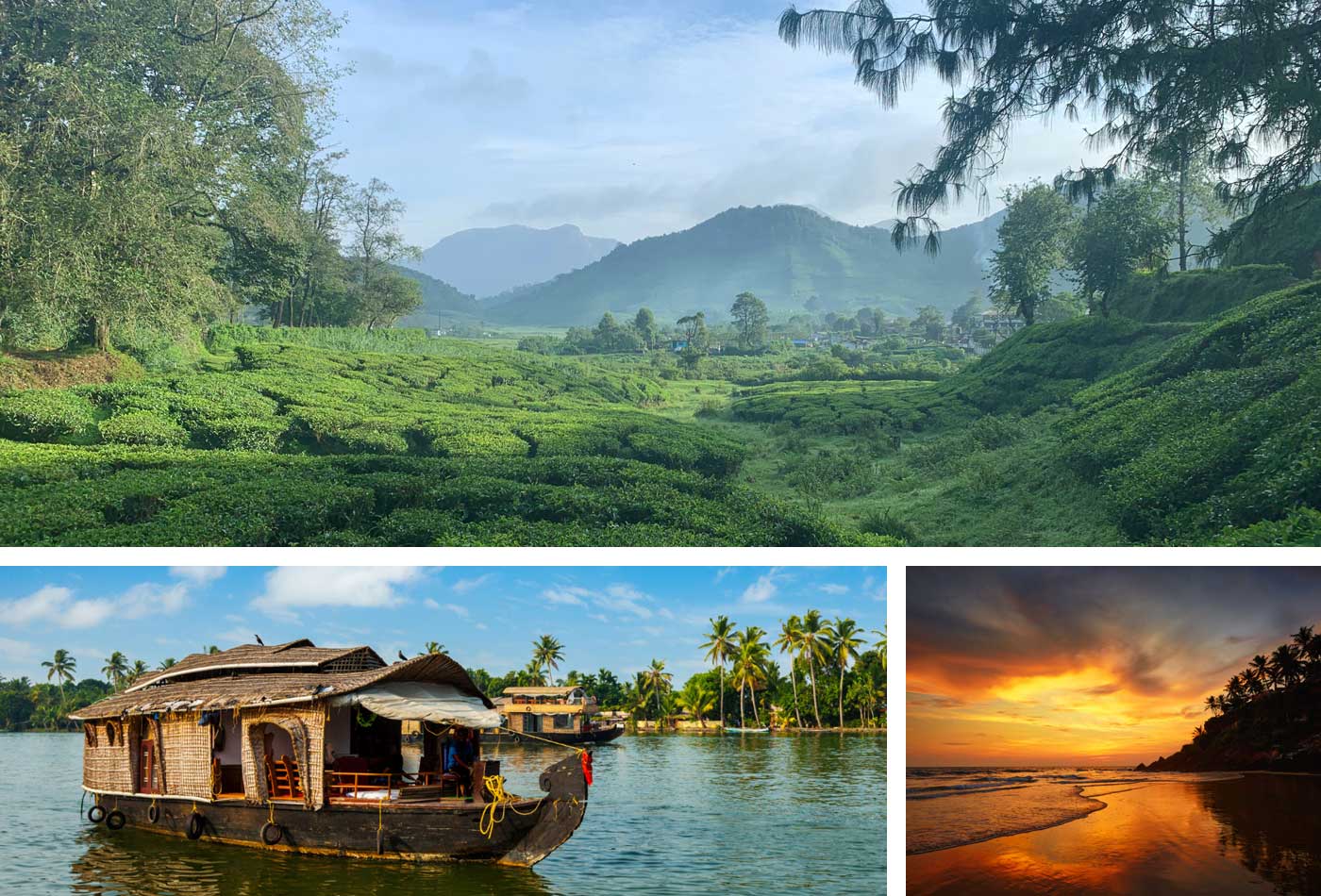 Blog - 11 Places you Can't Miss in India