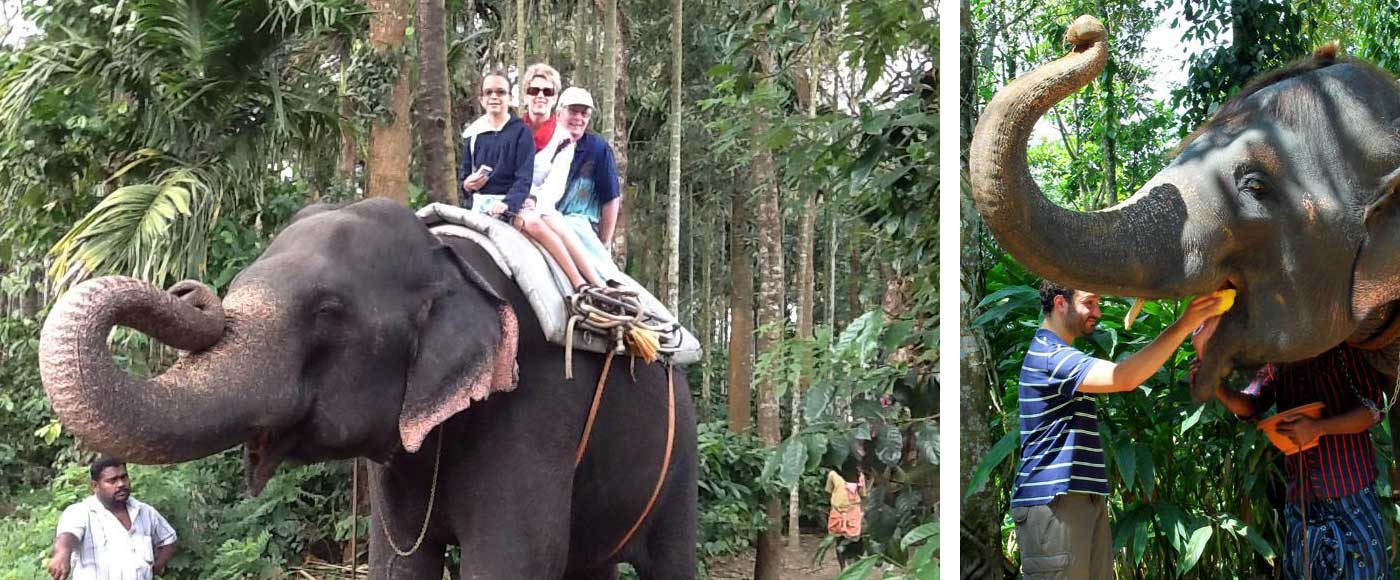 Periyar Wildlife Sanctuary | National Park | Thekkady