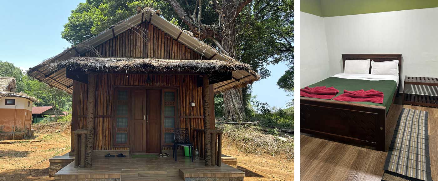 How to plan a trip to Gavi Wildlife Sanctuary in Kerala, India