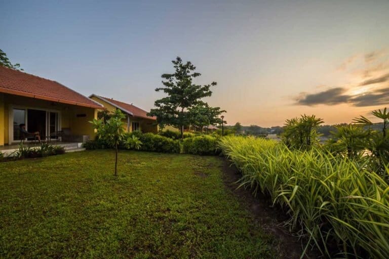 Essence of Inner Peace: A Visit to the Sadhguru Ashram in India